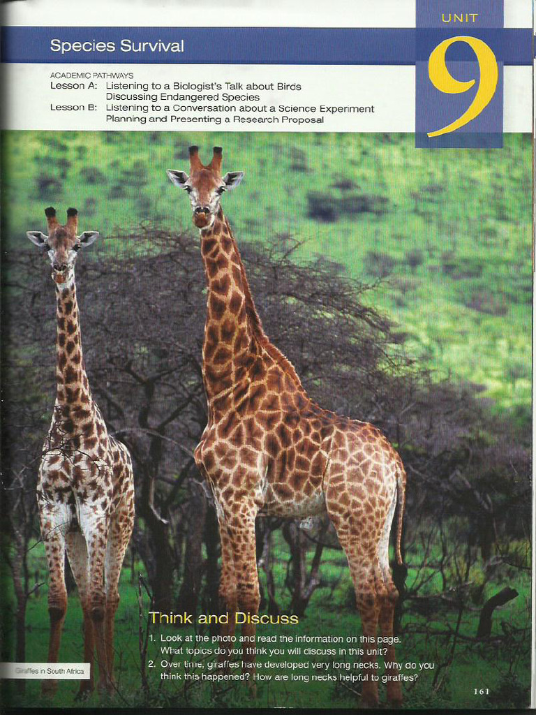 Pathways 2-Unit 9-All | PDF