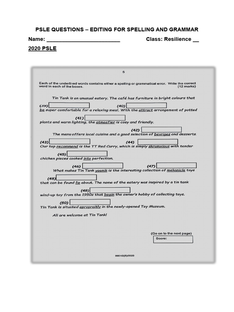 PSLE Editing Practice (For WA2) | PDF