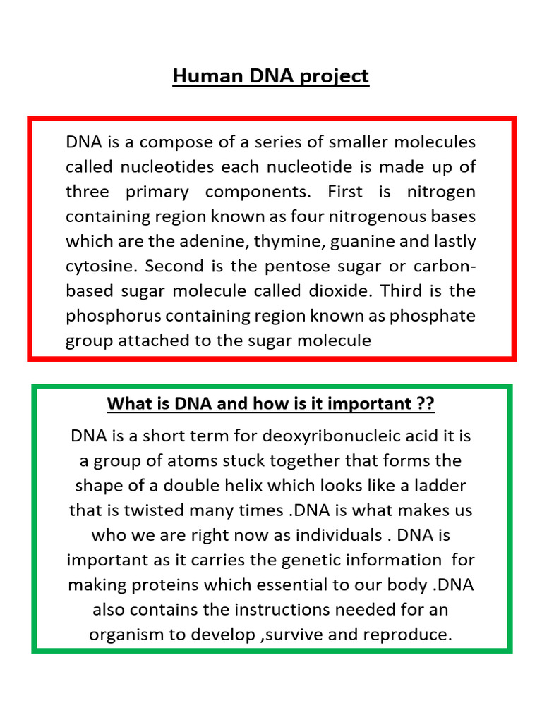 Human DNA Project | PDF