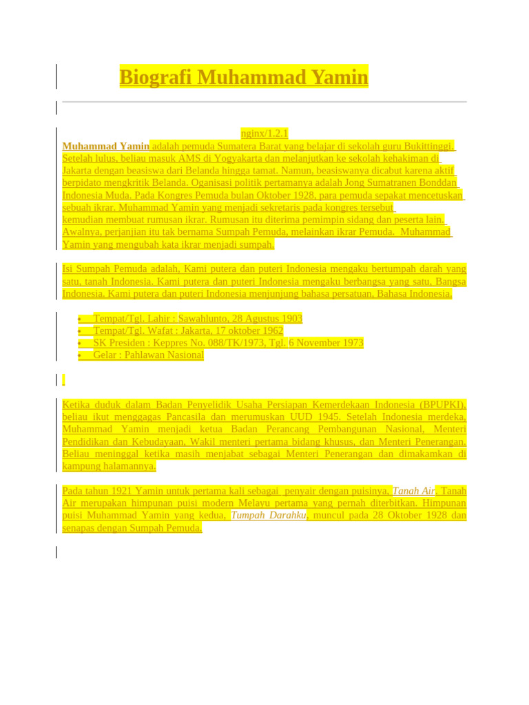 Biografi Muhammad Yamin | PDF