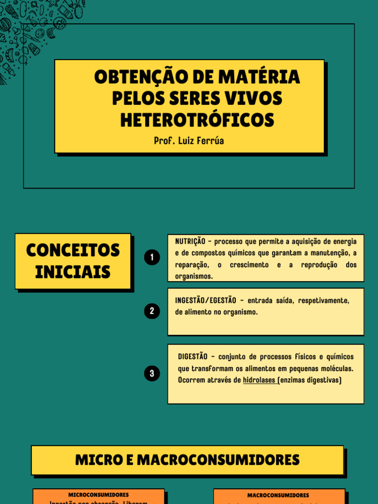 08 Obten o de Mat Ria Pelos Seres Vivos Heterotr Ficos | PDF