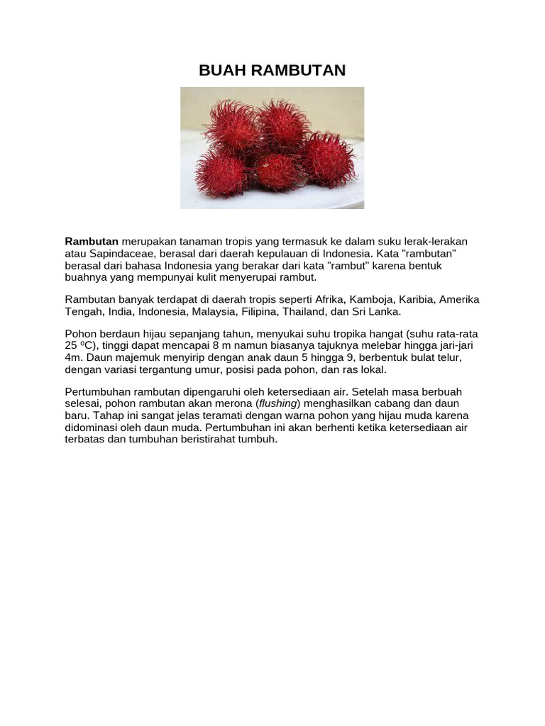 Buah Rambutan | PDF