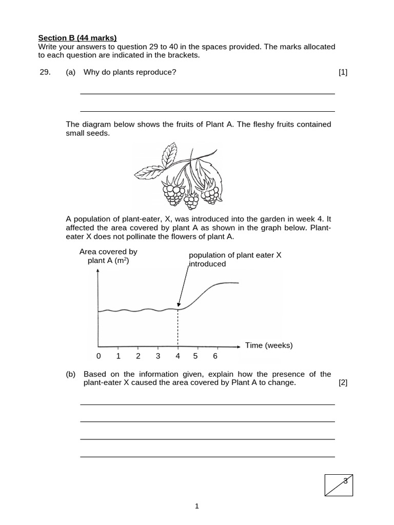 2022 P6 Prelims Booklet B - V3 | PDF