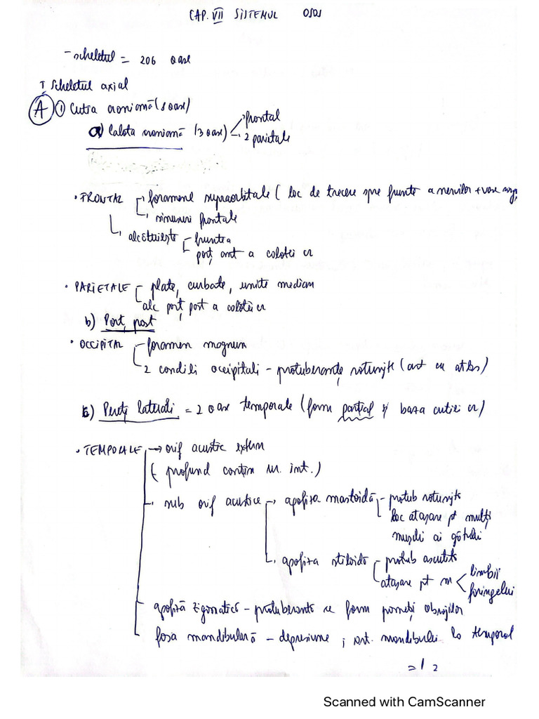CAP. VIII SISTEMUL OSOS Pansela | PDF