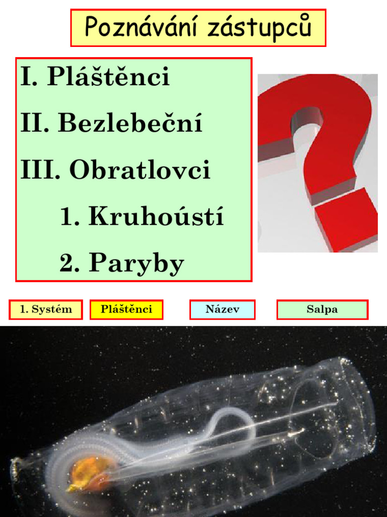 Strunatci Poznávačka Gymbru | PDF
