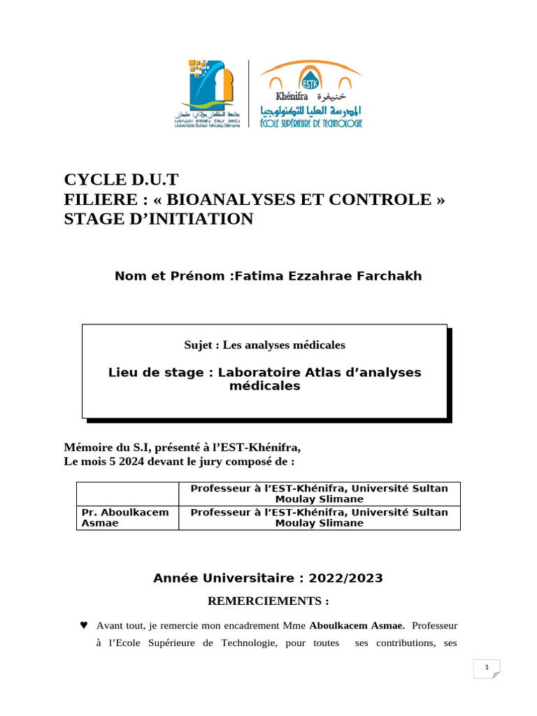Raport de Stage 2024 | PDF