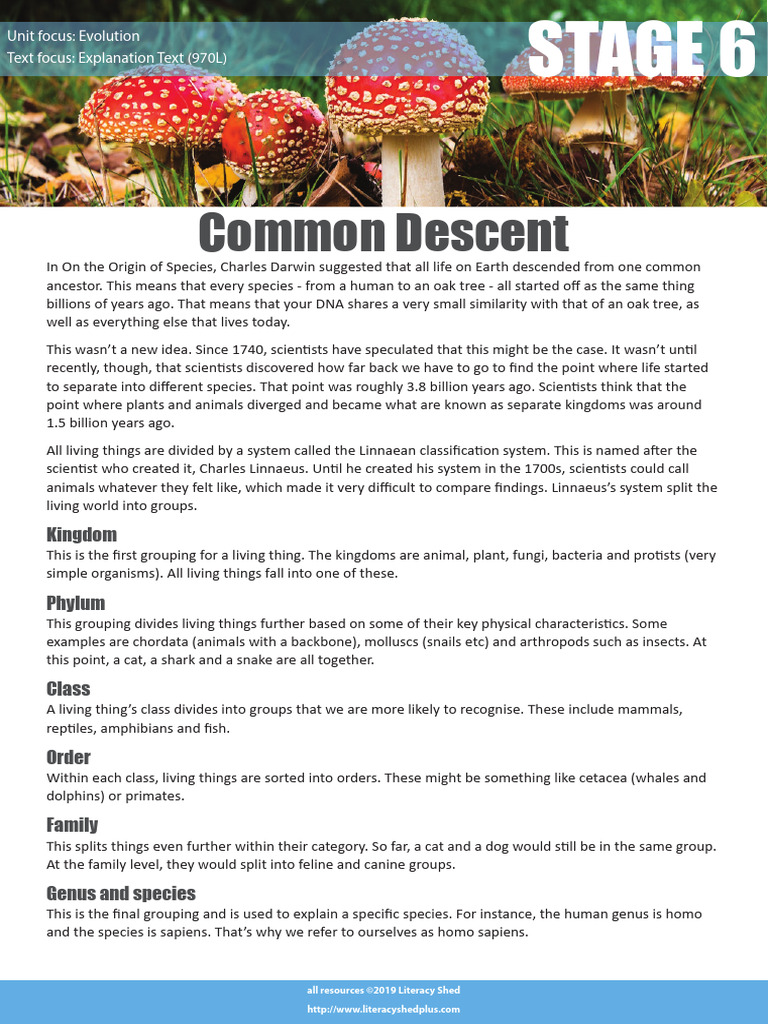 Common Descent | PDF