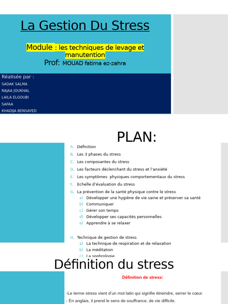 La Gestion Du Stress | PDF