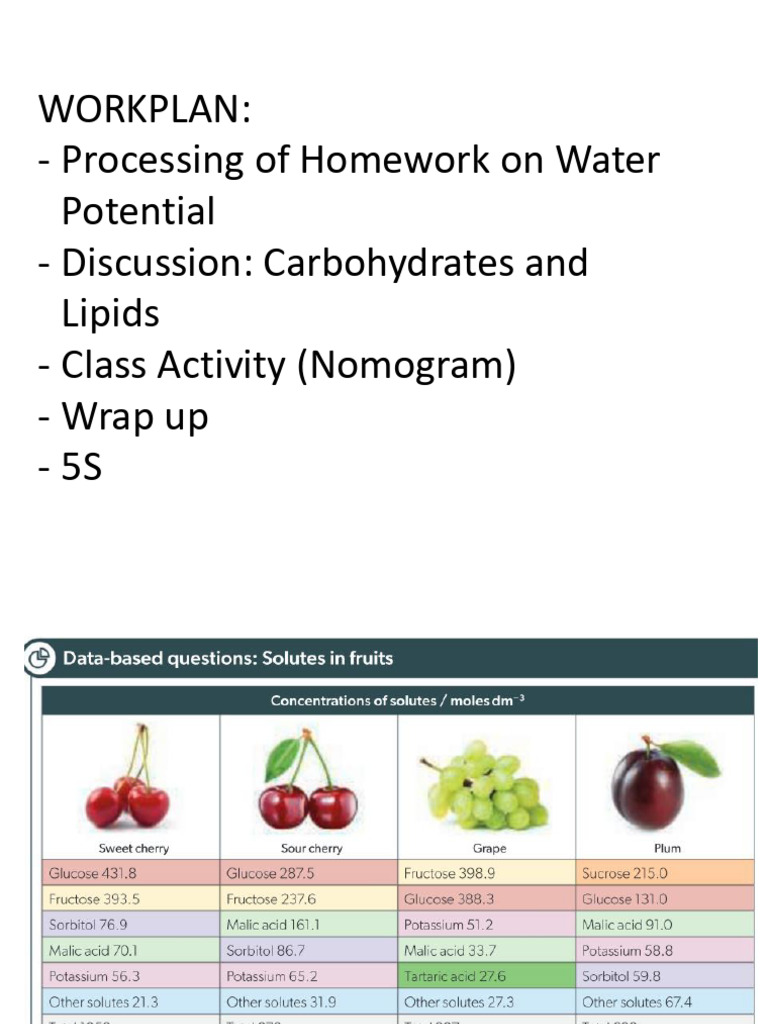 Biok 2.3 Carbohydrates and Lipids | PDF