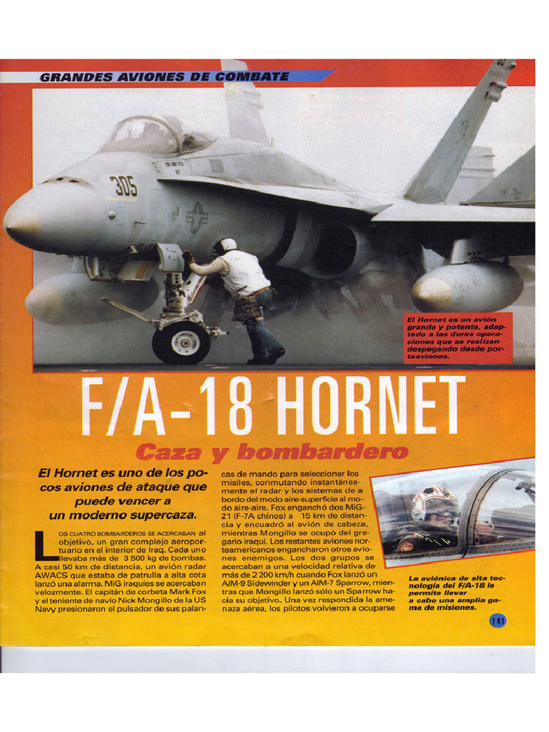 F A 18 Hornet | PDF