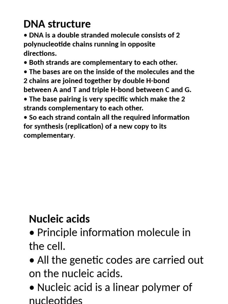 DNA Structure | PDF