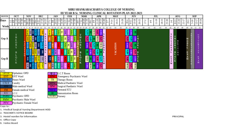 CLINICAL ROTATION PLAN Third Year 22-23 | PDF