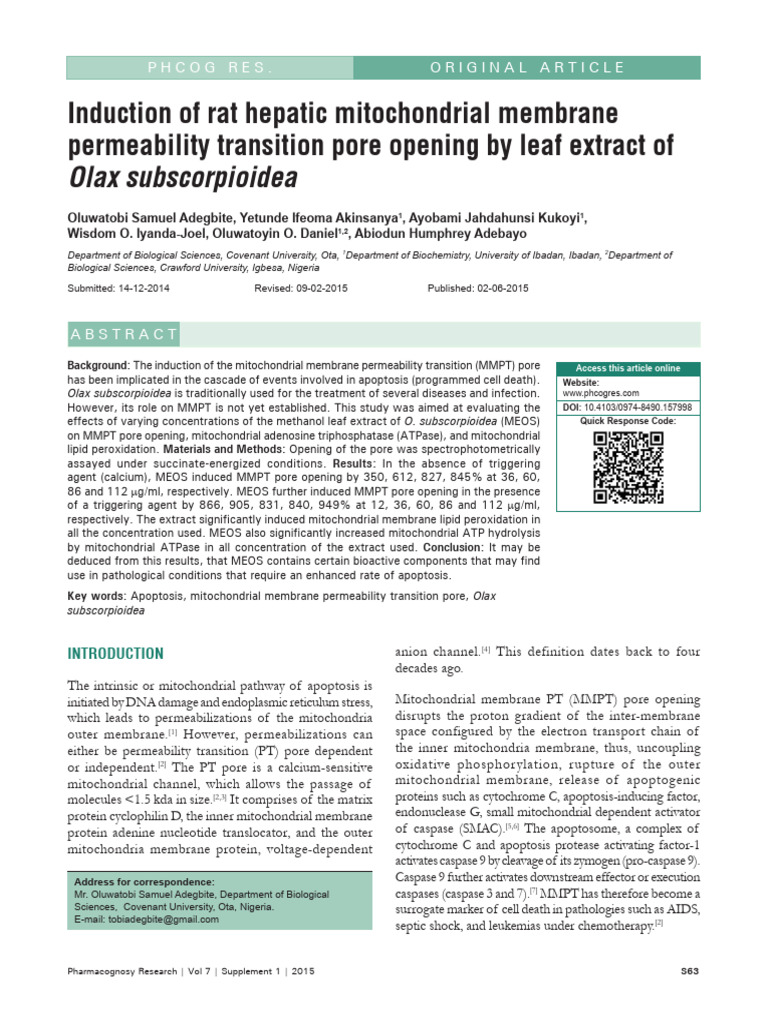 Induction of Rat Hepatic Mitochondrial Membrane Permeability Pore | PDF