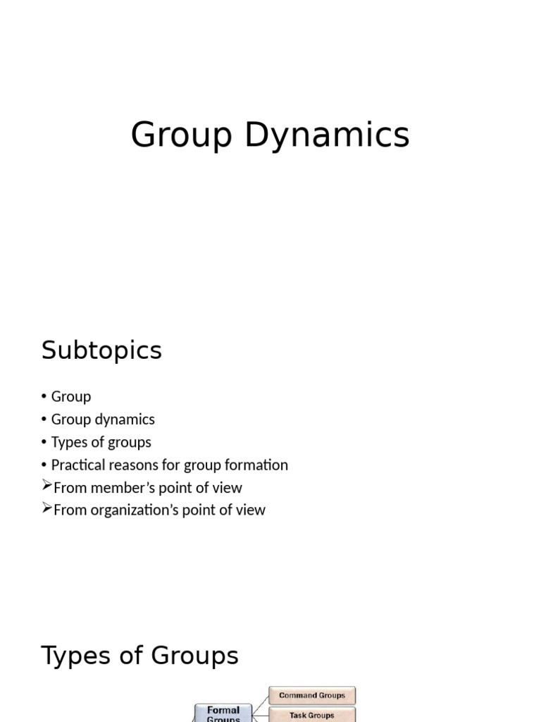 Group Dynamics | PDF