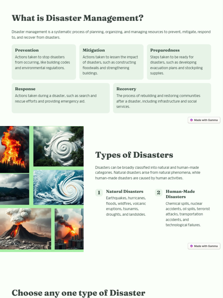 What Is Disaster Management | PDF