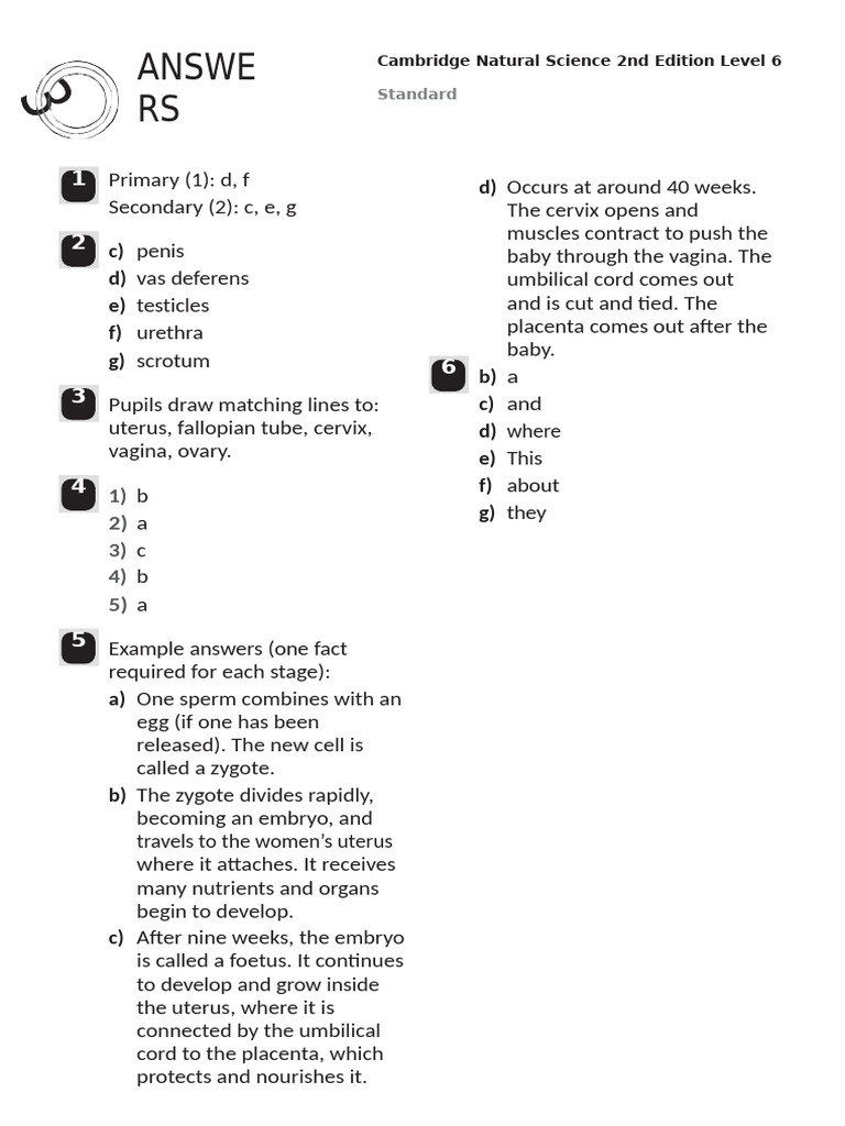 NS2e L6 Tests U3 Standard With Answers | PDF