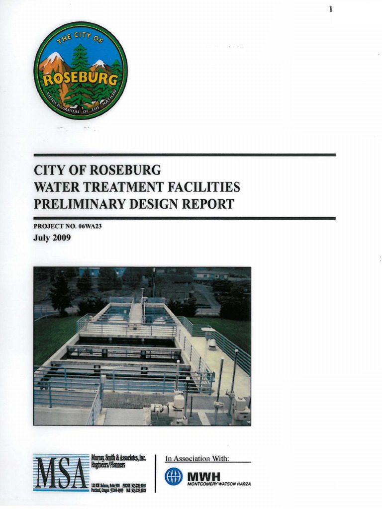 Water Treatment Facilities Preliminary Design Report | PDF
