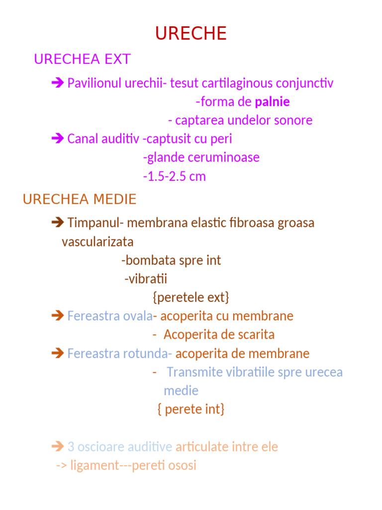URECHE Clasa A 7 A | PDF | Social Science | Foreign Language Studies