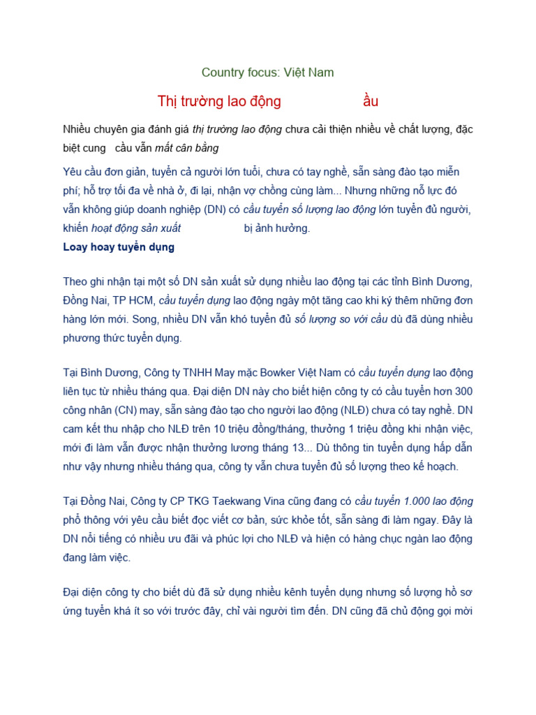 Các Lực Lượng Cung vs. Cầu Của Thị Trường Lao Động Country Focus-Việt Nam | PDF