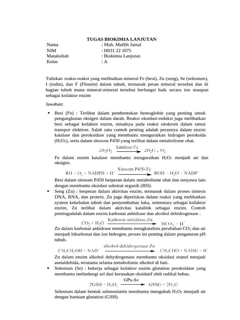 Tugas Biolan Melki | PDF | Biology | Metabolism