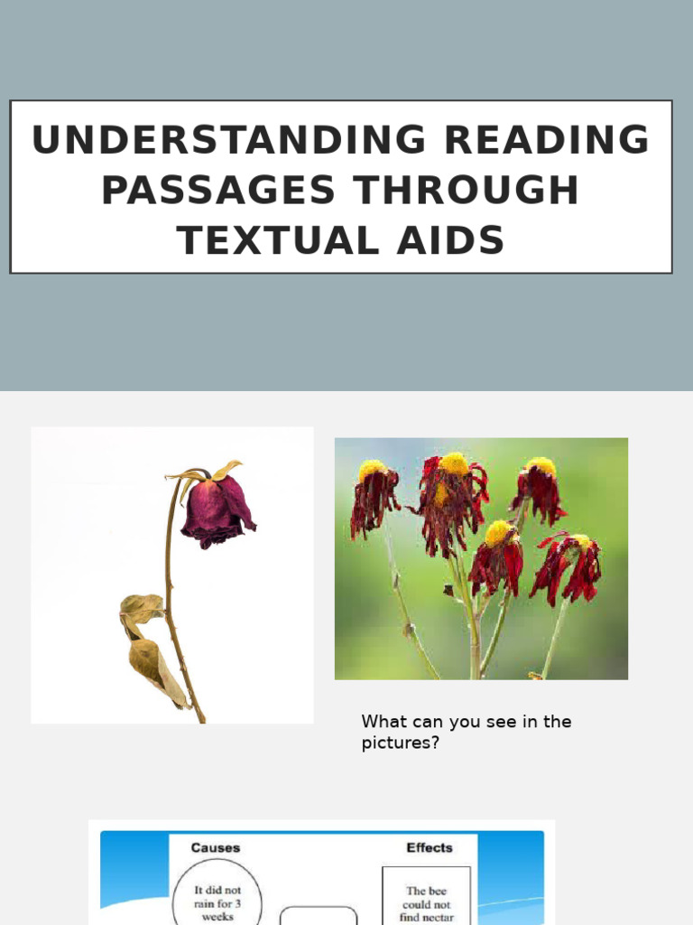 2 Textual Aids With Performance Task | PDF