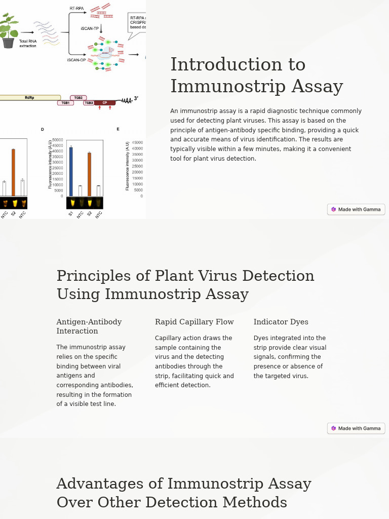 Introduction To Immunostrip Assay | PDF