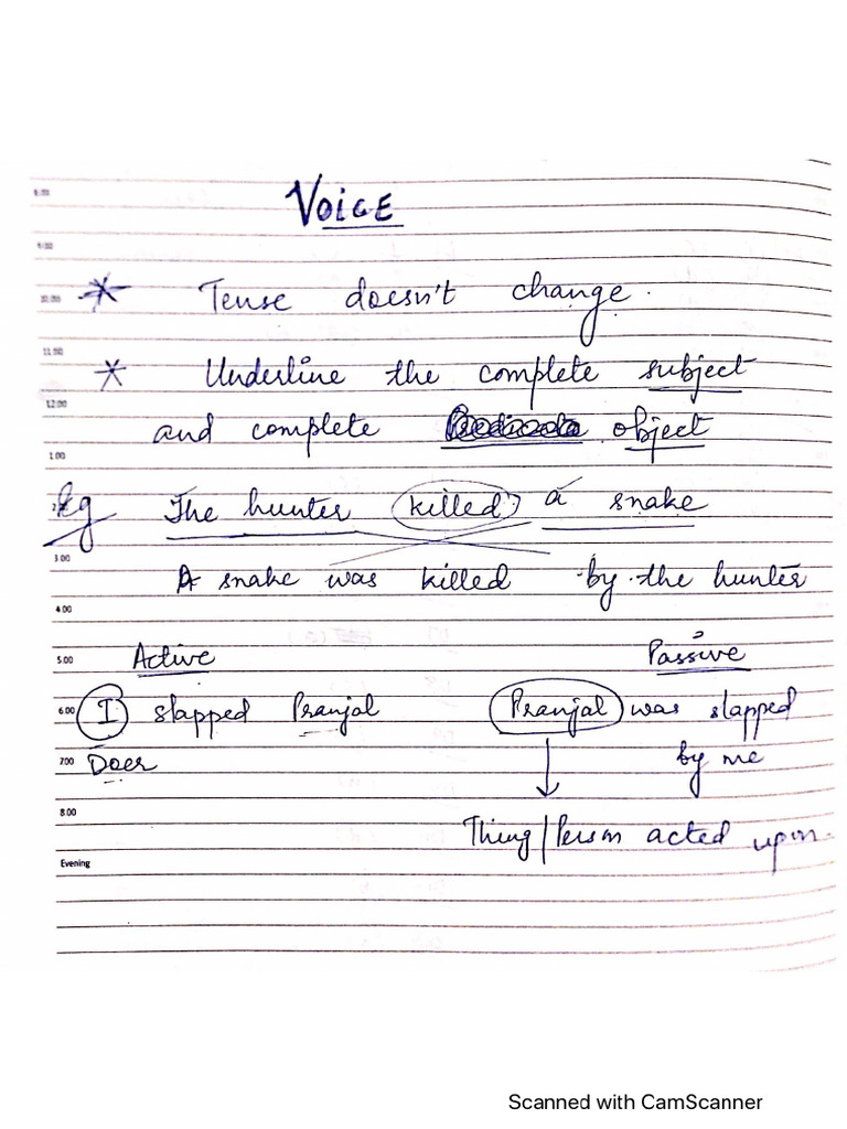 Voice | PDF
