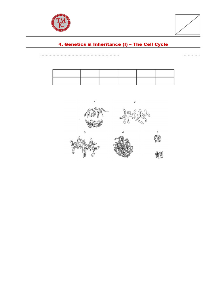 2024 H2 Cell Cycle Assignment (Q) | PDF | Ploidy | Games & Activities