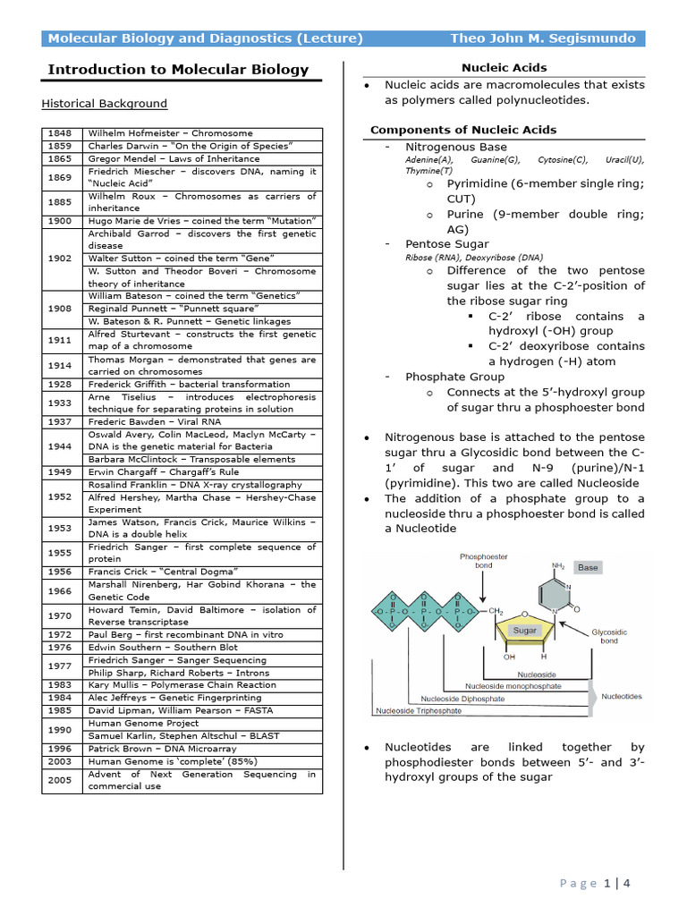 Week 1 Molbio (Supplementary Handout) | PDF