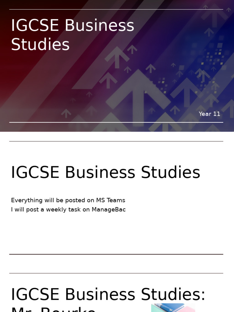 IGCSE Business Studies Intro | PDF