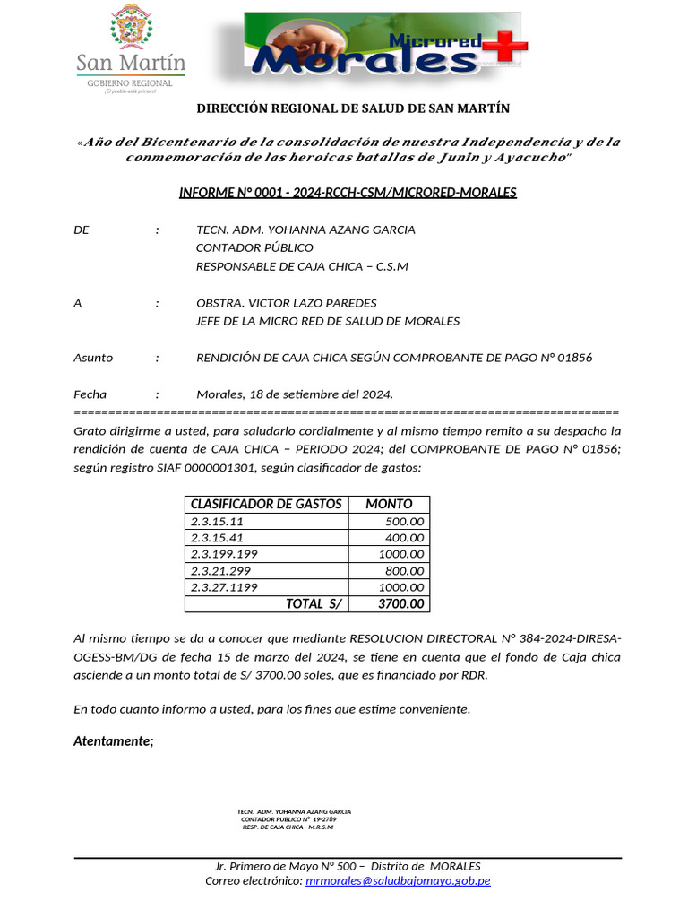 Informe #001-2024 | PDF
