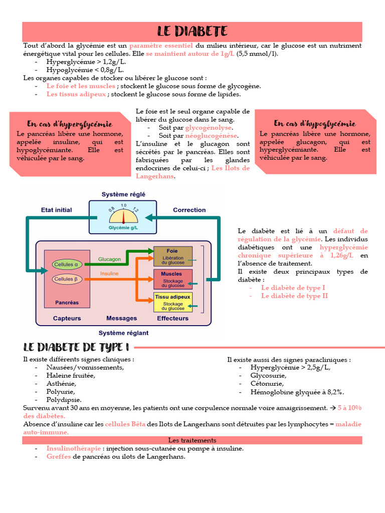 Le Diabete | PDF