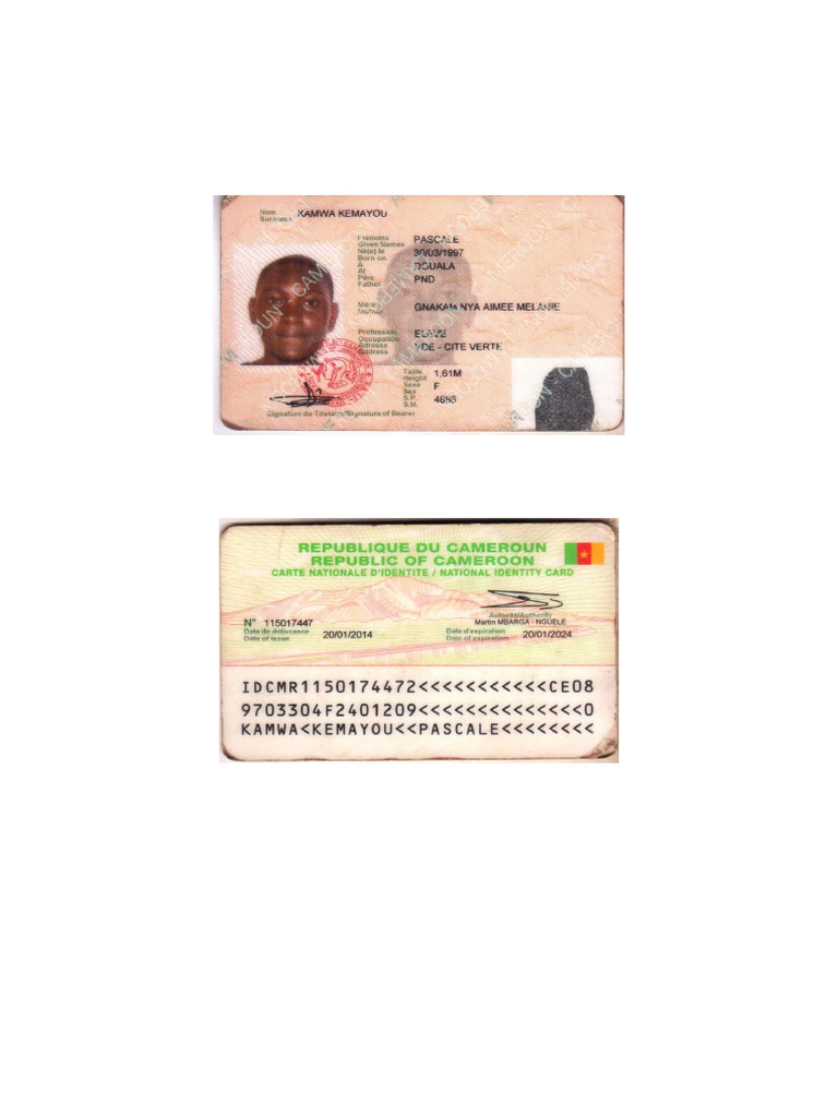 CNI (1) - Copie | PDF