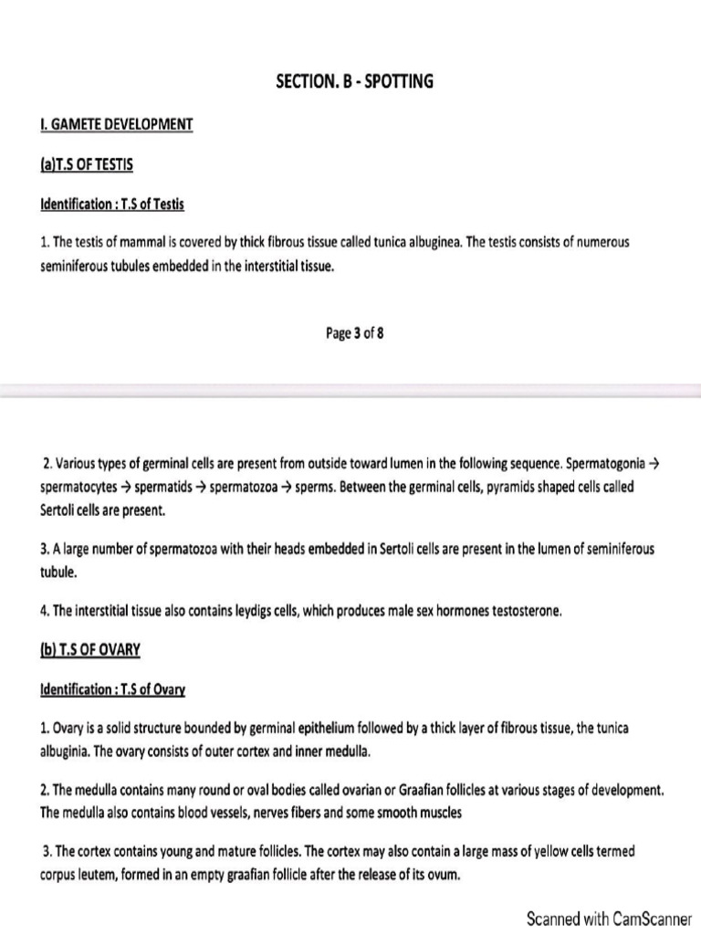 Section B Spotting | PDF