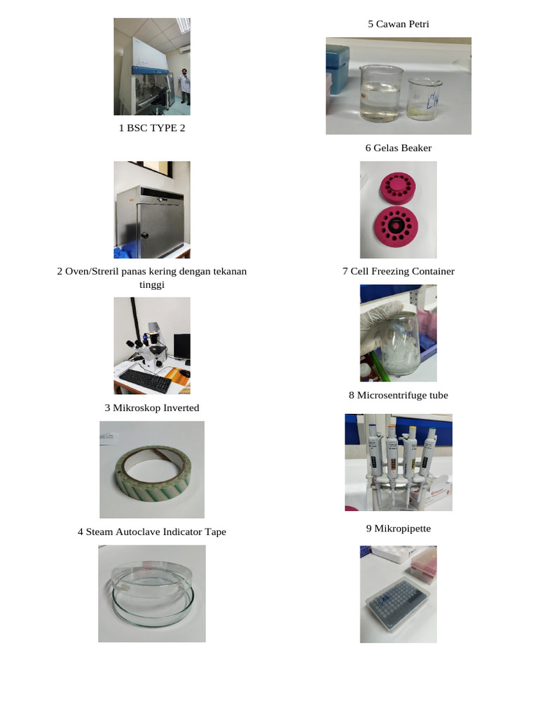 Laprak Bioselmol Lab Kultur Sel | PDF