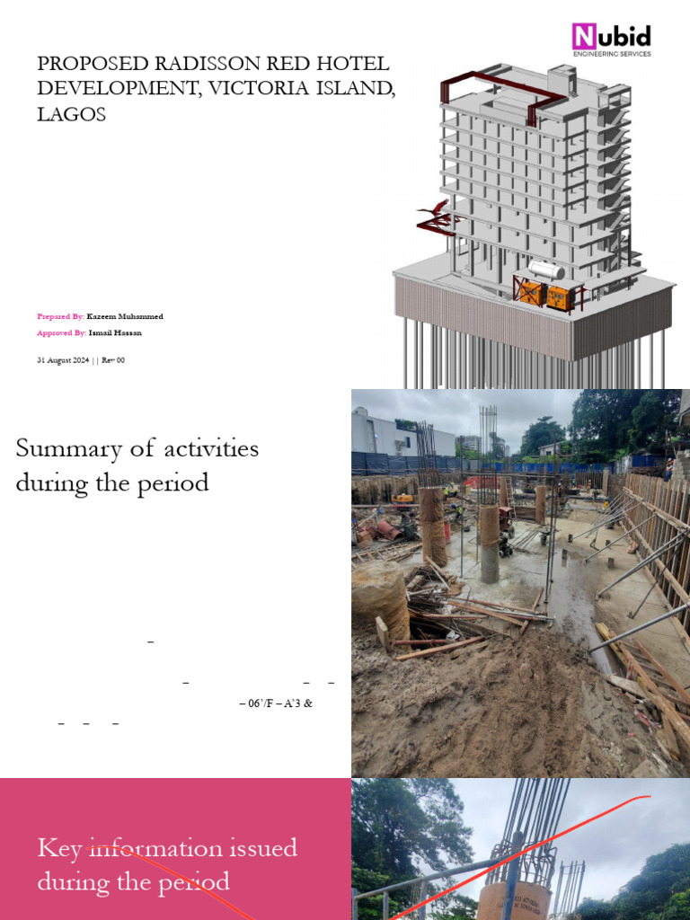 RadRed - Progress Report 03 | PDF