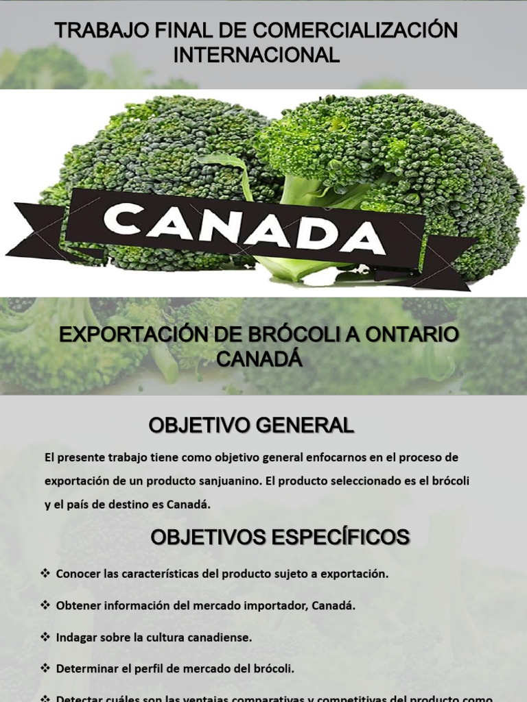 Presentacion de Brocoli A Canada | PDF