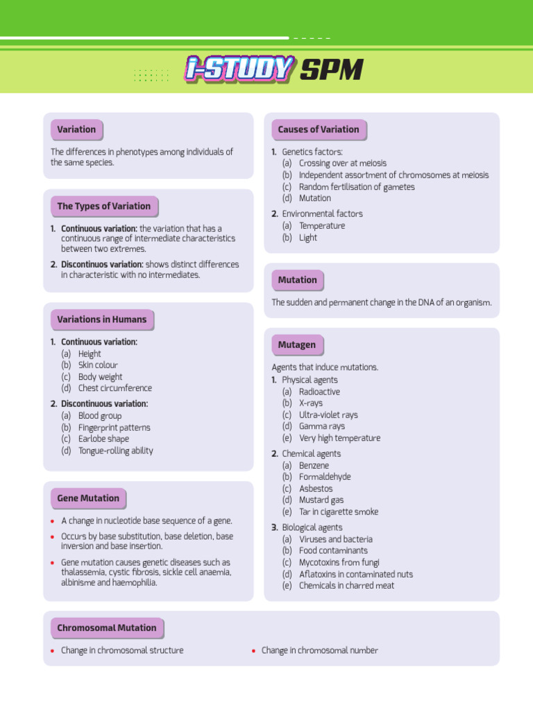 I StudySPMF5Chapter12 | PDF