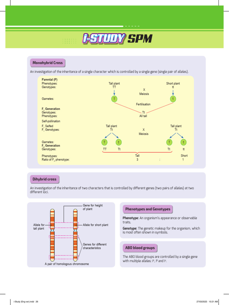 I StudySPMF5Chapter11 | PDF