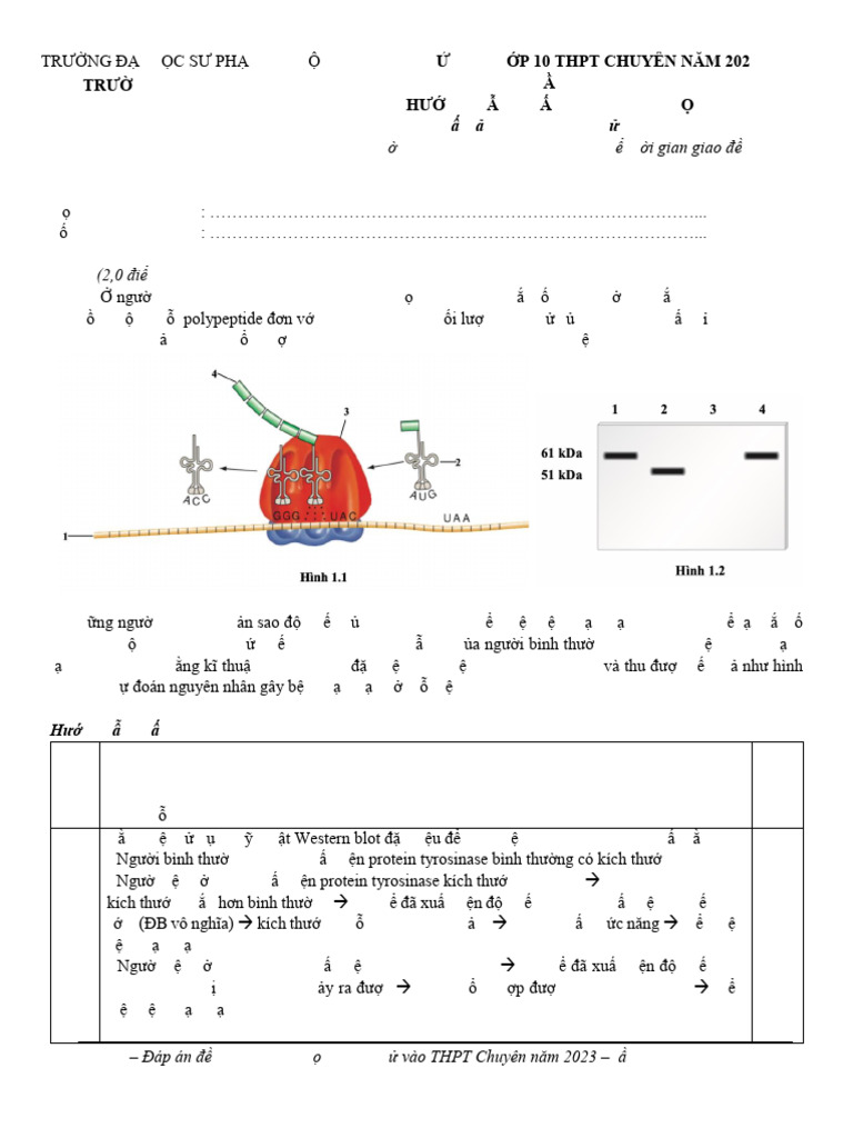 Goi Y Dap An Sinh Hoc Lan 3 Pdf