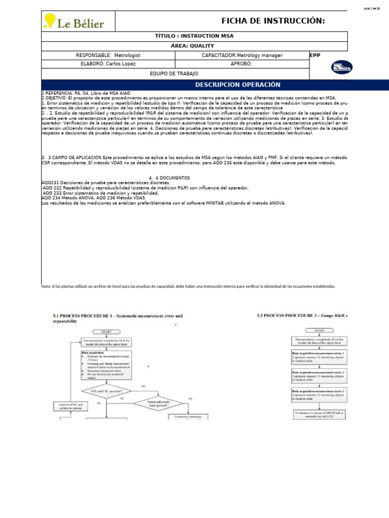 AQ 080 Ficha de Instrucción MSA | PDF