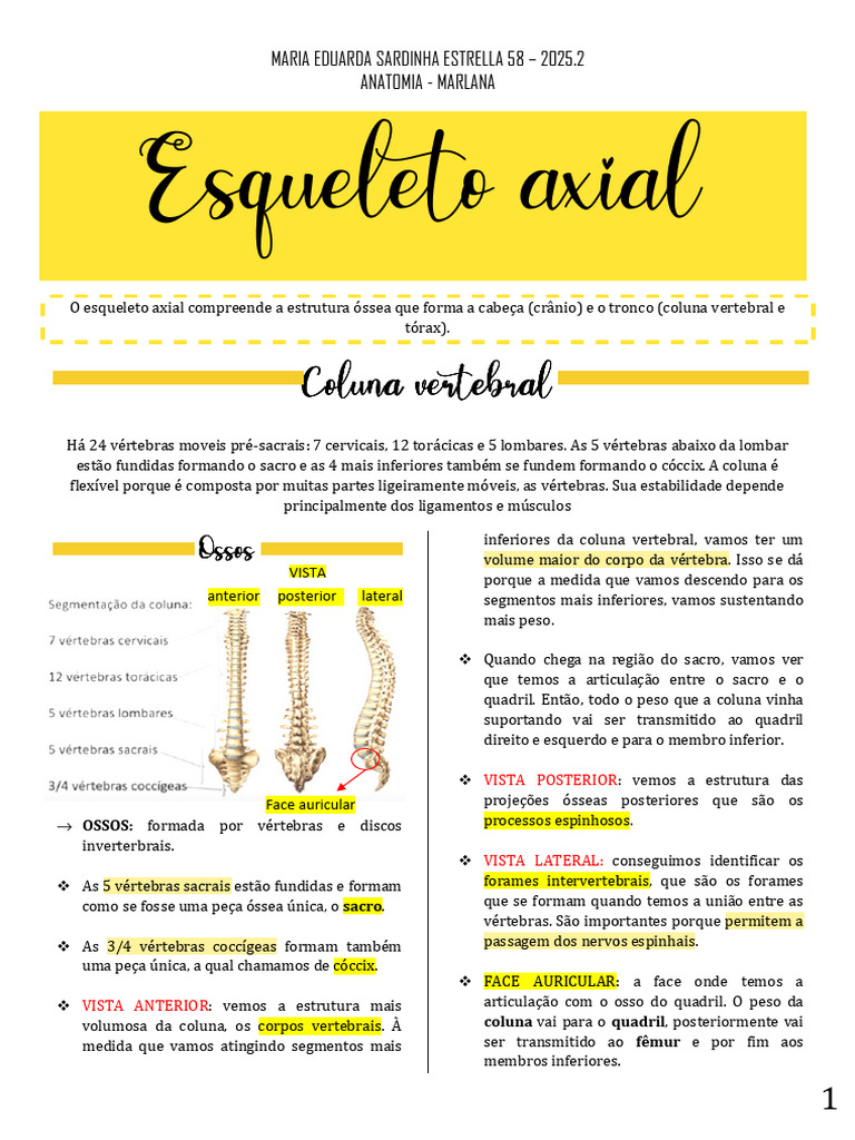 Esqueleto Axial | PDF