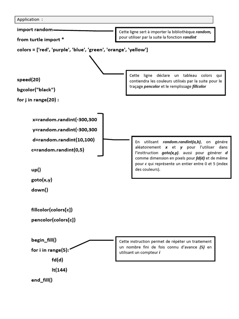 Application 10 - Turtle | PDF
