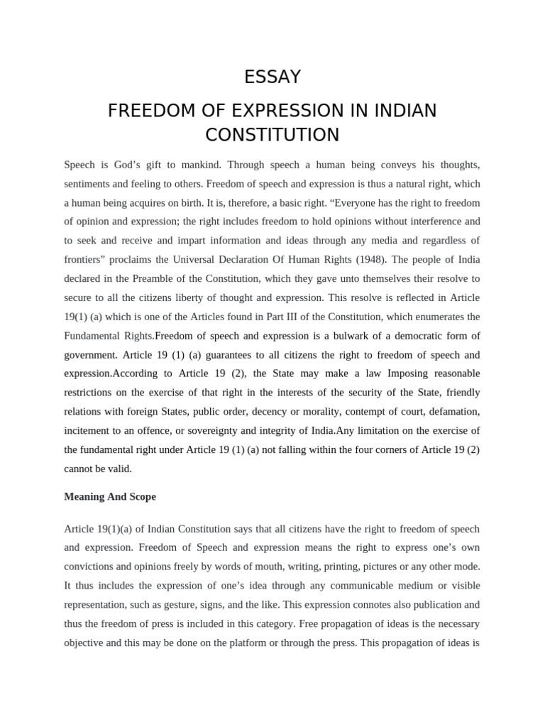 English Essay Freedom of Expression | PDF
