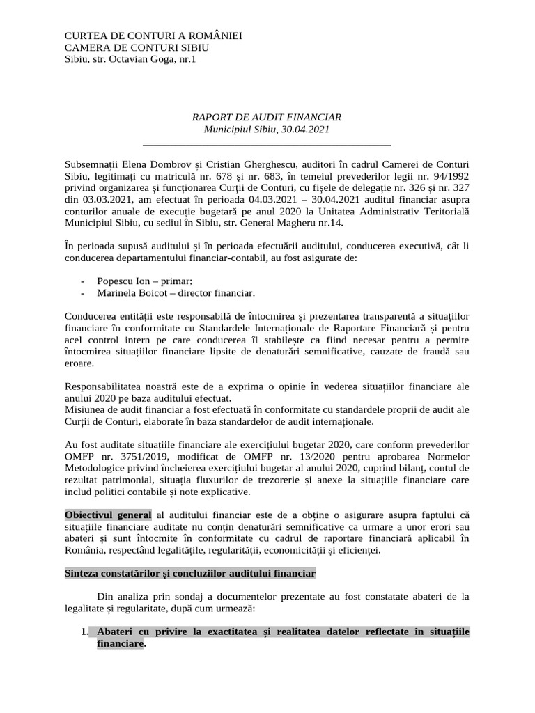 Raport de Audit Financiar | PDF