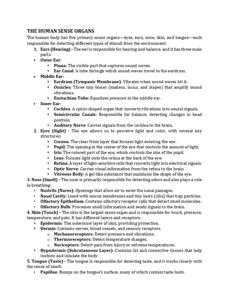 Understanding Human Sense Organs | PDF | Ear | Science & Mathematics