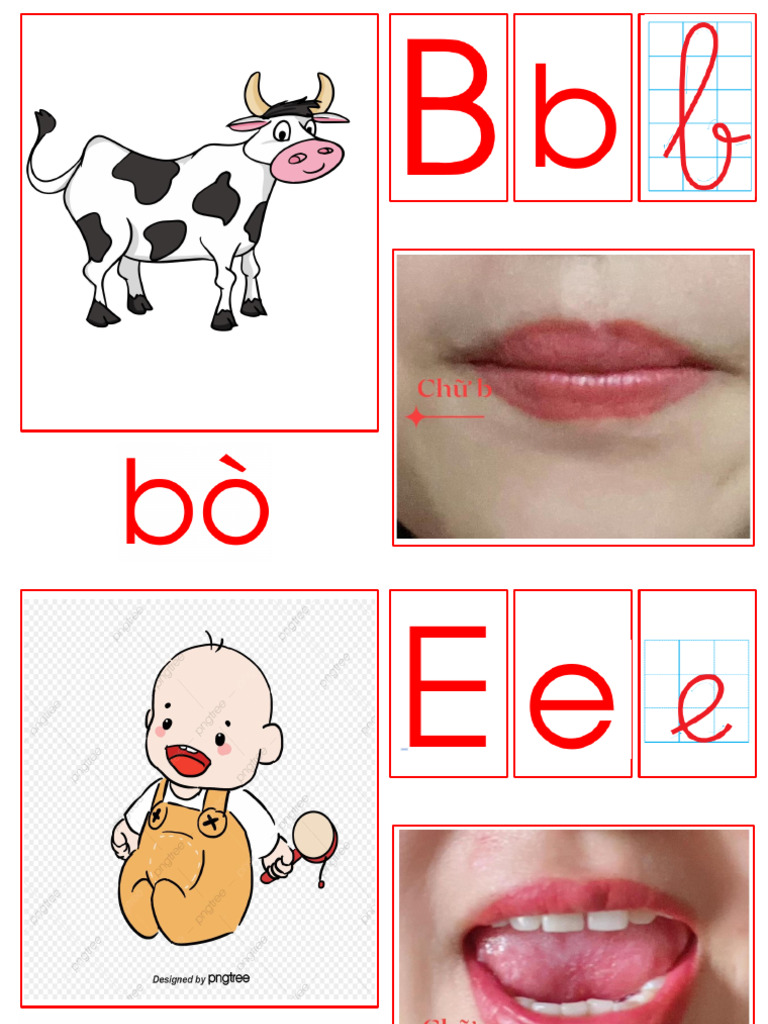 CH Cái - Hình NH D y PDF | PDF