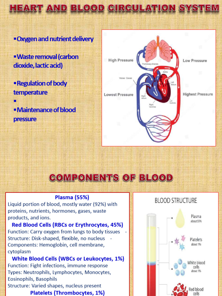 BIOLOGY PPT CLASS 11th-1 | PDF