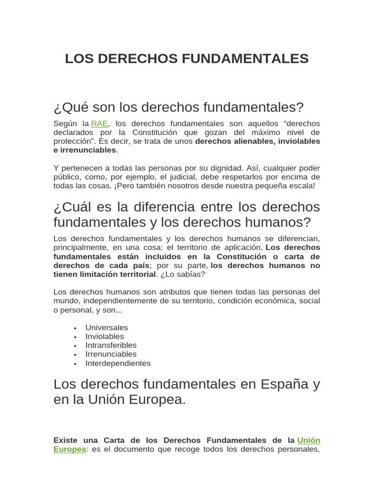 Los Derechos Fundamentales | PDF