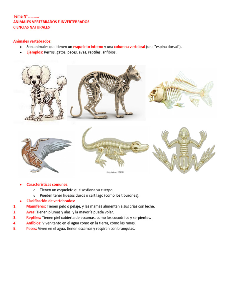 Tema N - ANIMALES VERTEBRADOS E INVERTEBRADOS | PDF | Esqueleto ...